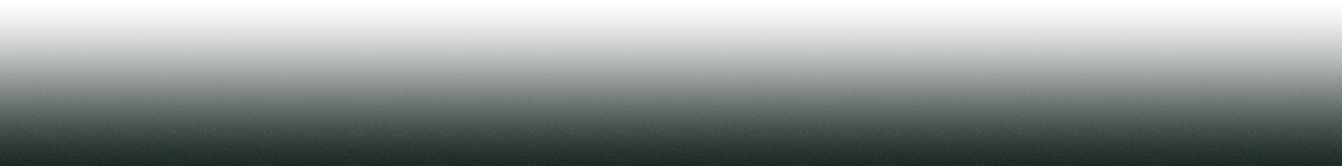 blessbean – Global Greenbean Company